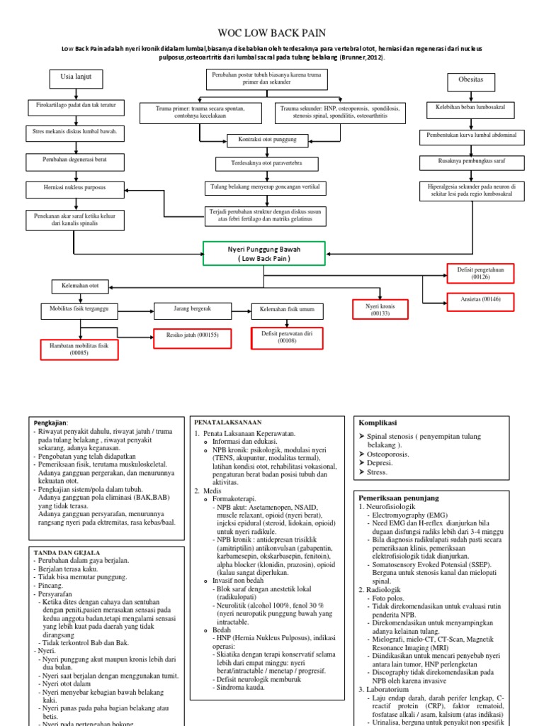 Woc Low Back Pain Iwit | PDF