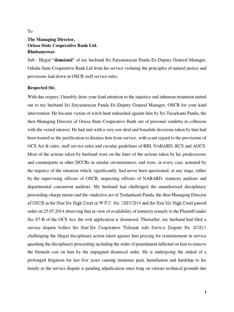 MD Mercy Petition-Reduced | PDF | Audit | Auditor's Report