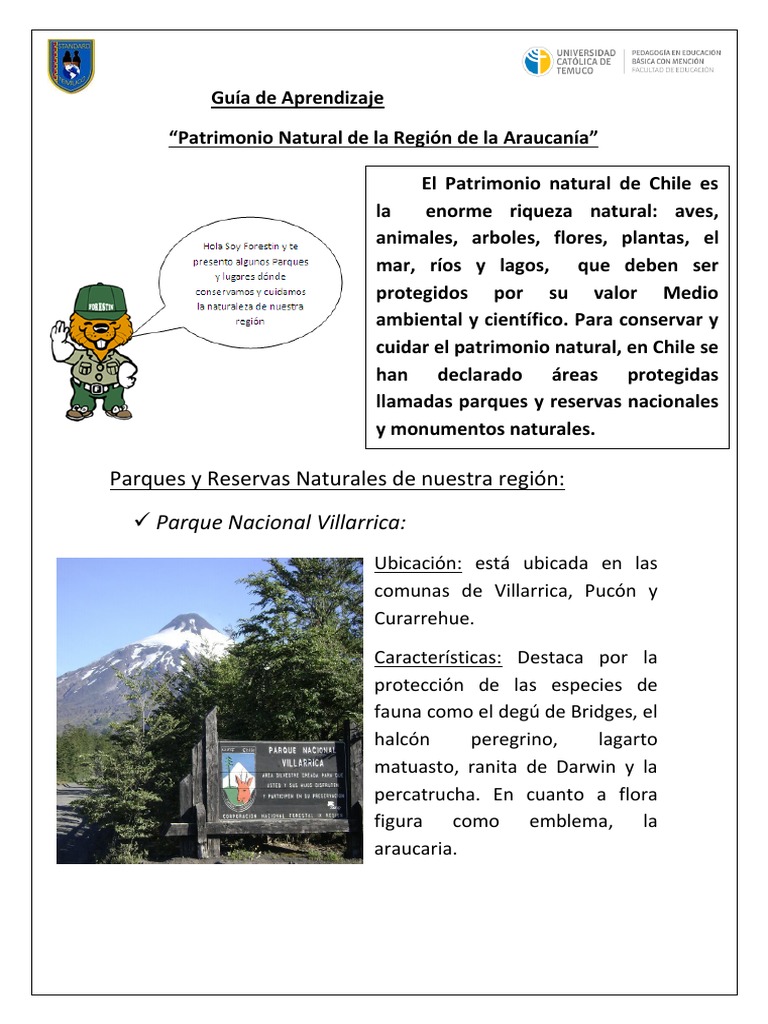 Guía de Aprendizaje Parques Nacionales | PDF | Naturaleza