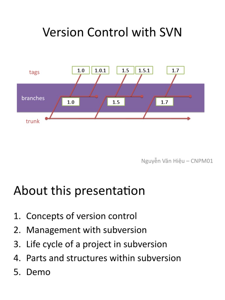 SVN Version Control Overview | PDF | Art | Computers