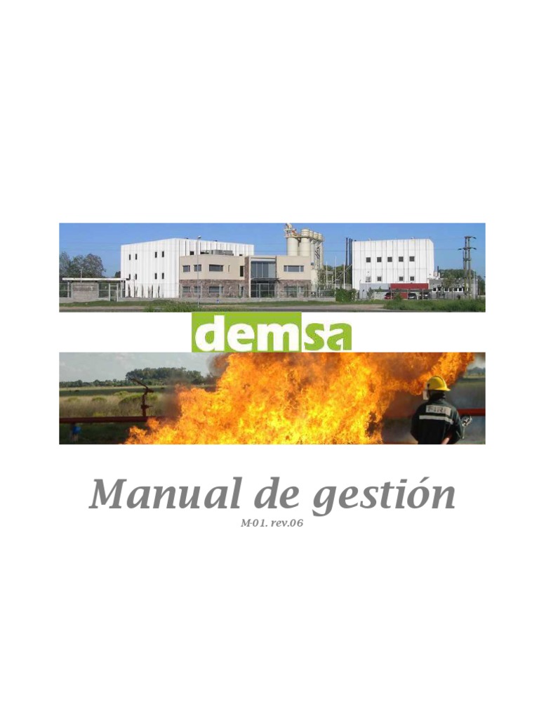 Manual Gestion Demsa | PDF | Calidad (comercial) | Business