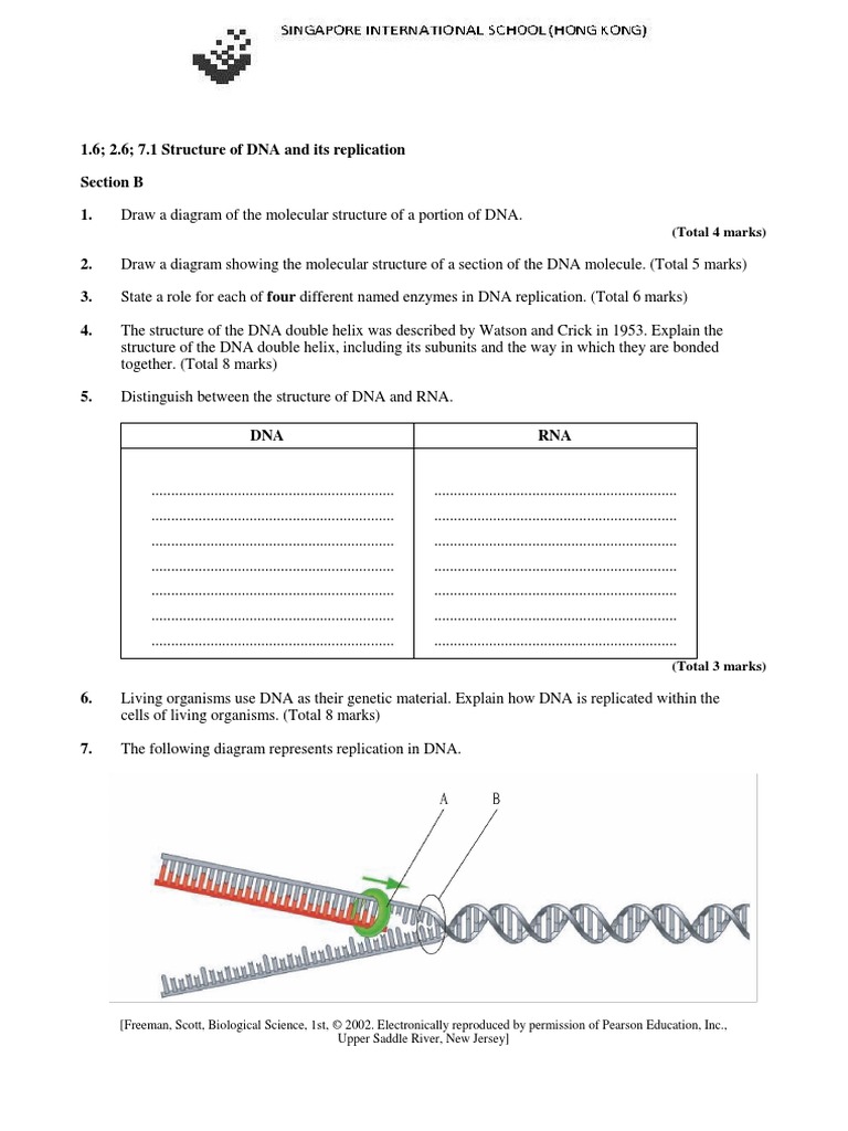IB Biology HL 2.6 Worksheet | PDF | Dna Replication | Dna