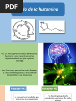 Bula Phenetaps Comprimidos | PDF | Medicamentos con receta | Hipertensión