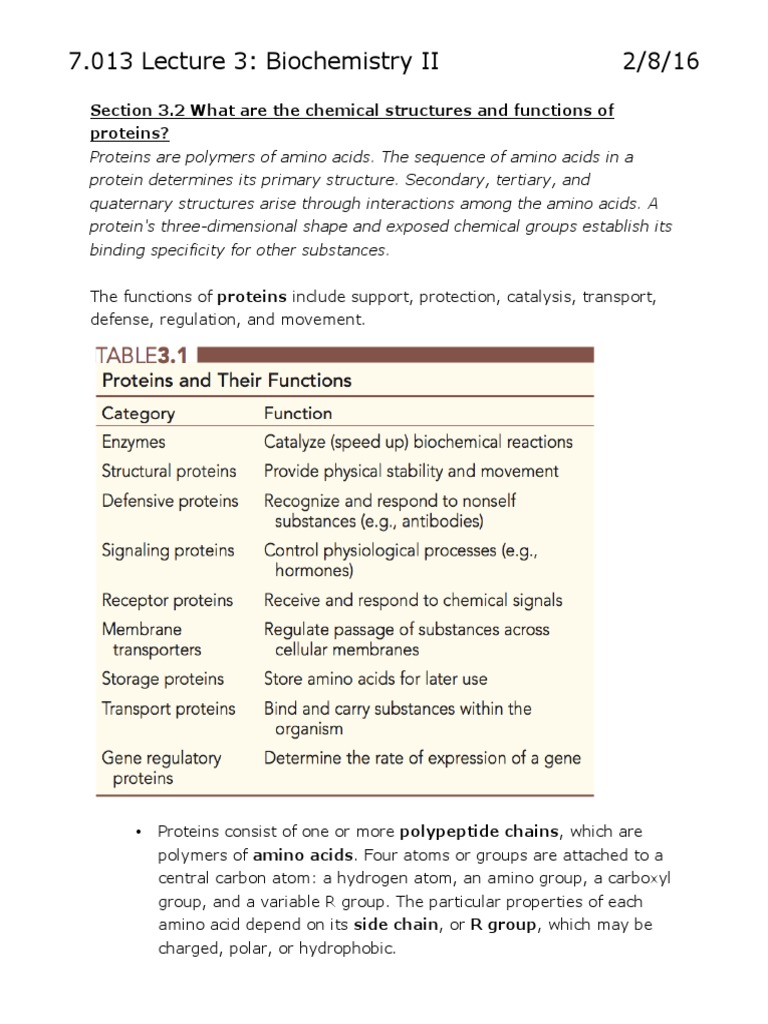 Lecture 3 - Biochemistry II | PDF | Nucleic Acids | Dna
