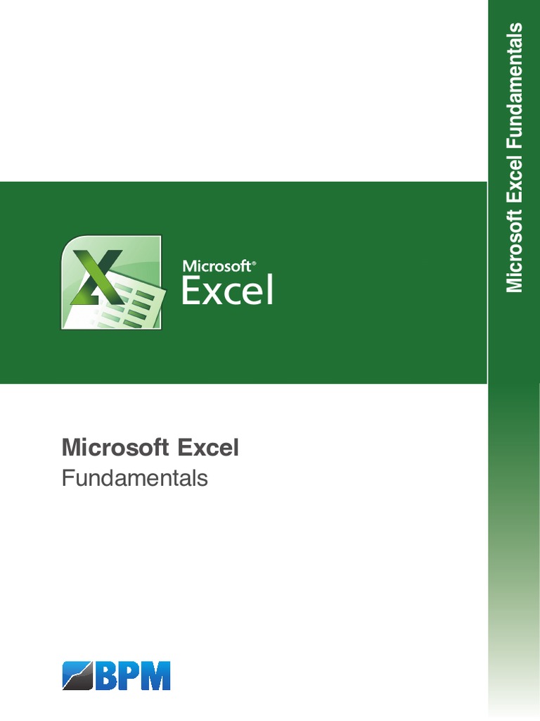 BPM Excel Fundamentals | PDF | Spreadsheet | Microsoft Excel