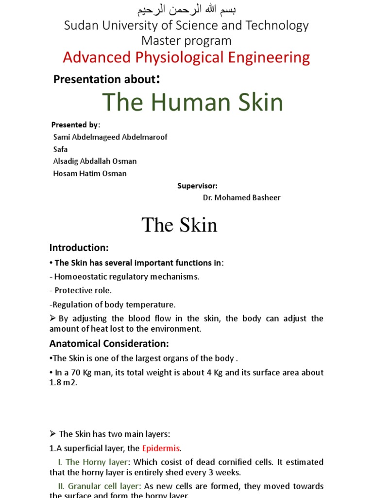 The Human Skin: An Overview of Its Structure and Functions | PDF | Skin ...
