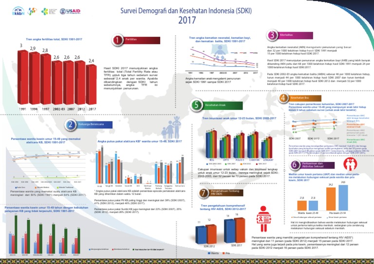 WallChart SDKI 2017 | PDF