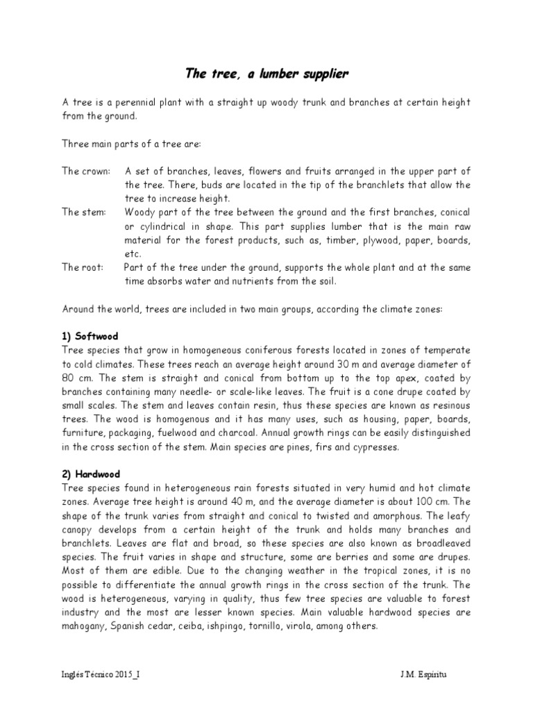 Lesson 02 - The Tree | PDF | Trees | Plant Stem