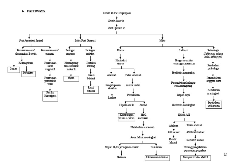 Pathways - SC Indikasi CPD | PDF