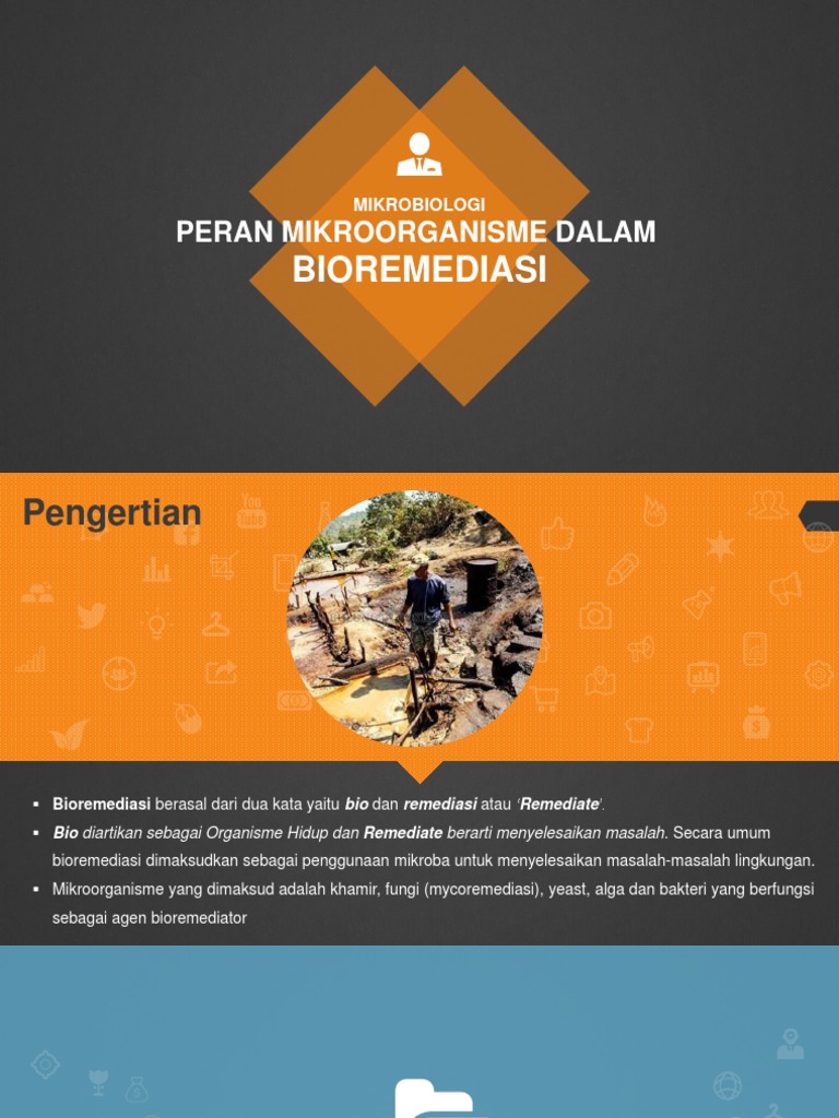Peranan Mikroorganisme Pada Bioremediasi | PDF | Teknologi & Rekayasa