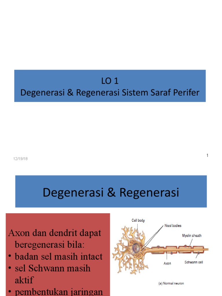 LO 1 Degenerasi Dan Regenerasi SST | PDF | Sains & Matematika