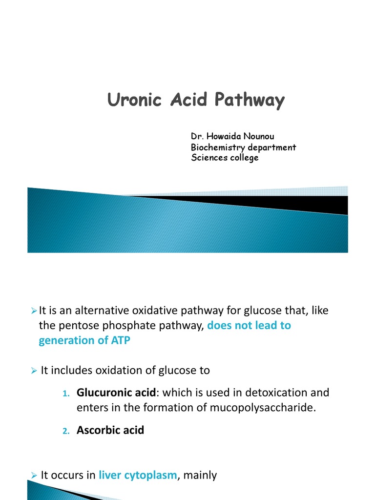 Uronic Acid Pathway | PDF