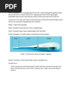 Interpretasi Hasil Foto Rontgen Anatomi Normal | PDF