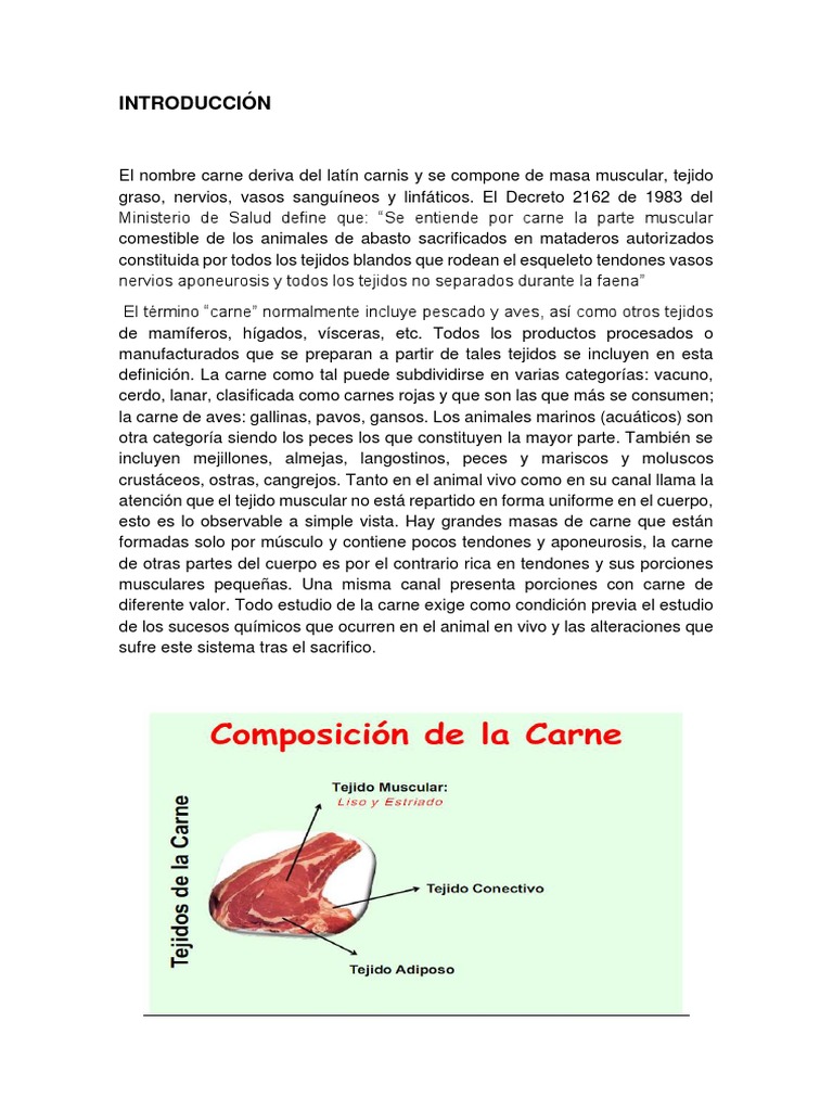 Estructura de La Carne | Descargar gratis PDF | Músculo | Colágeno