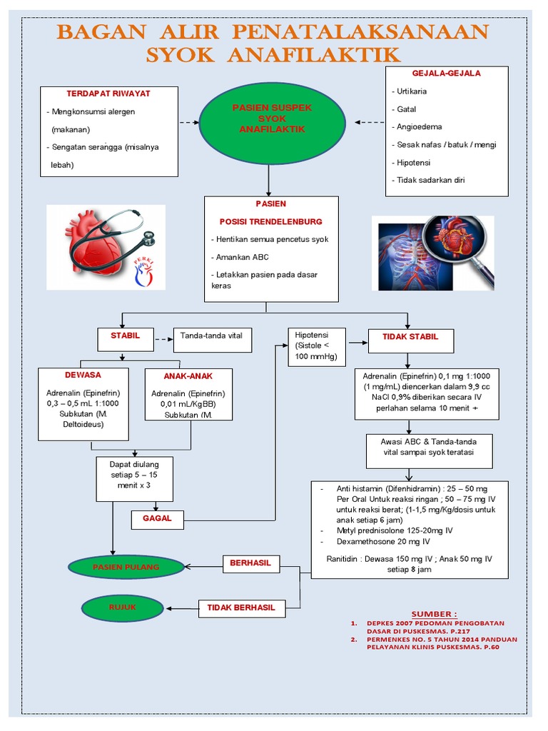 Alur Skema Syok Anafilaktik | PDF