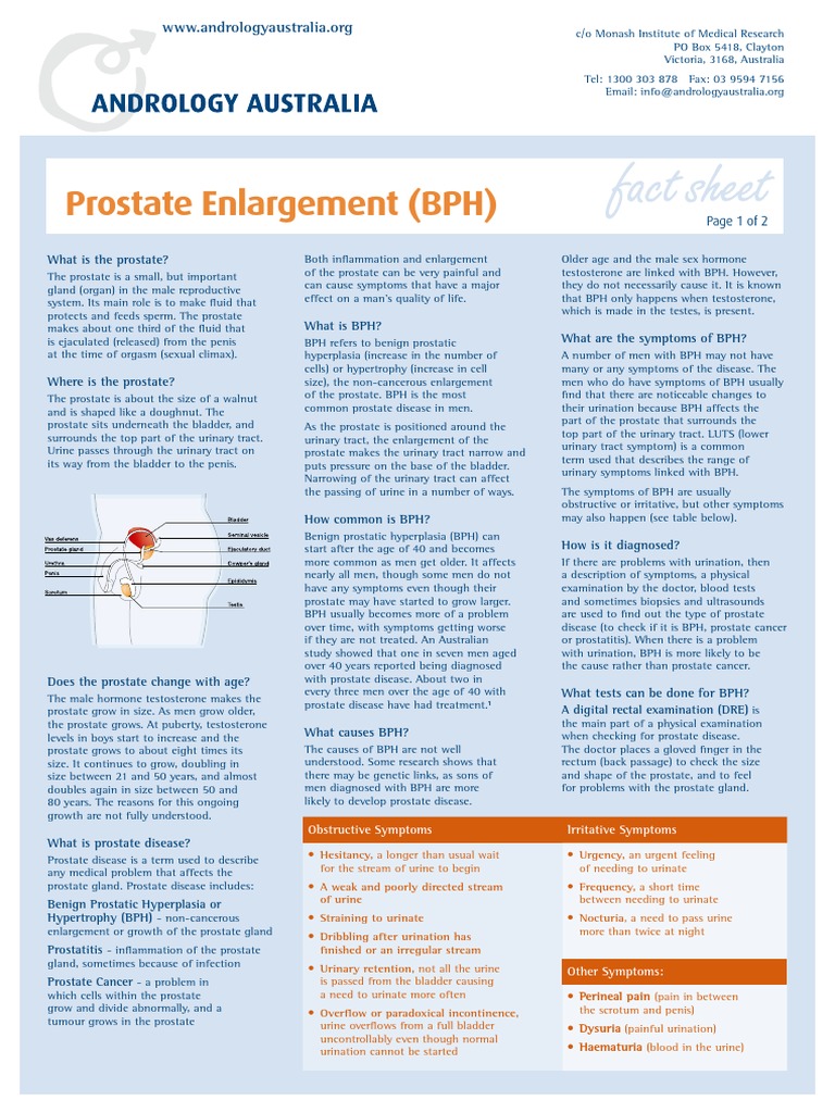 Prostate Enlargement (BPH) : What Is The Prostate? | PDF | Prostate ...