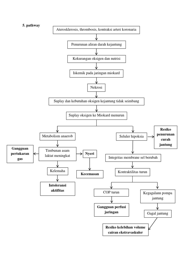 Pathway Stemi | PDF