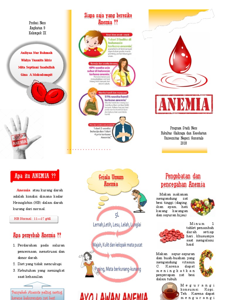 Anemia Leaflet | PDF