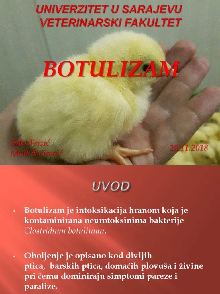 BOTULIZAM | PDF