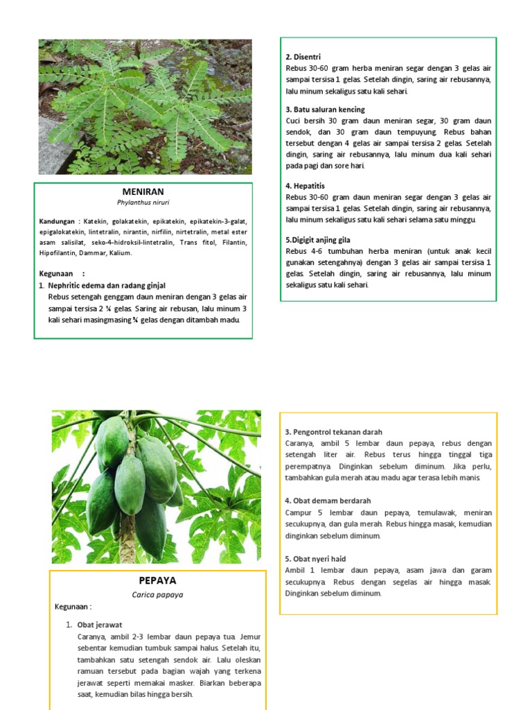 Toga Mading | PDF | Memasak, Makanan, & Anggur