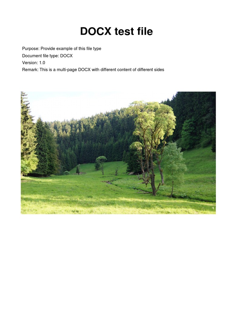 Example Multipage | PDF | John Doe | Justice