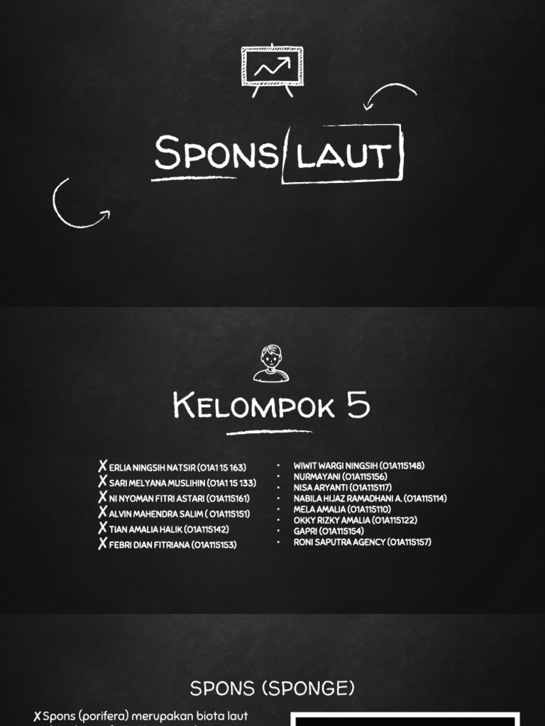 Spons Laut | PDF