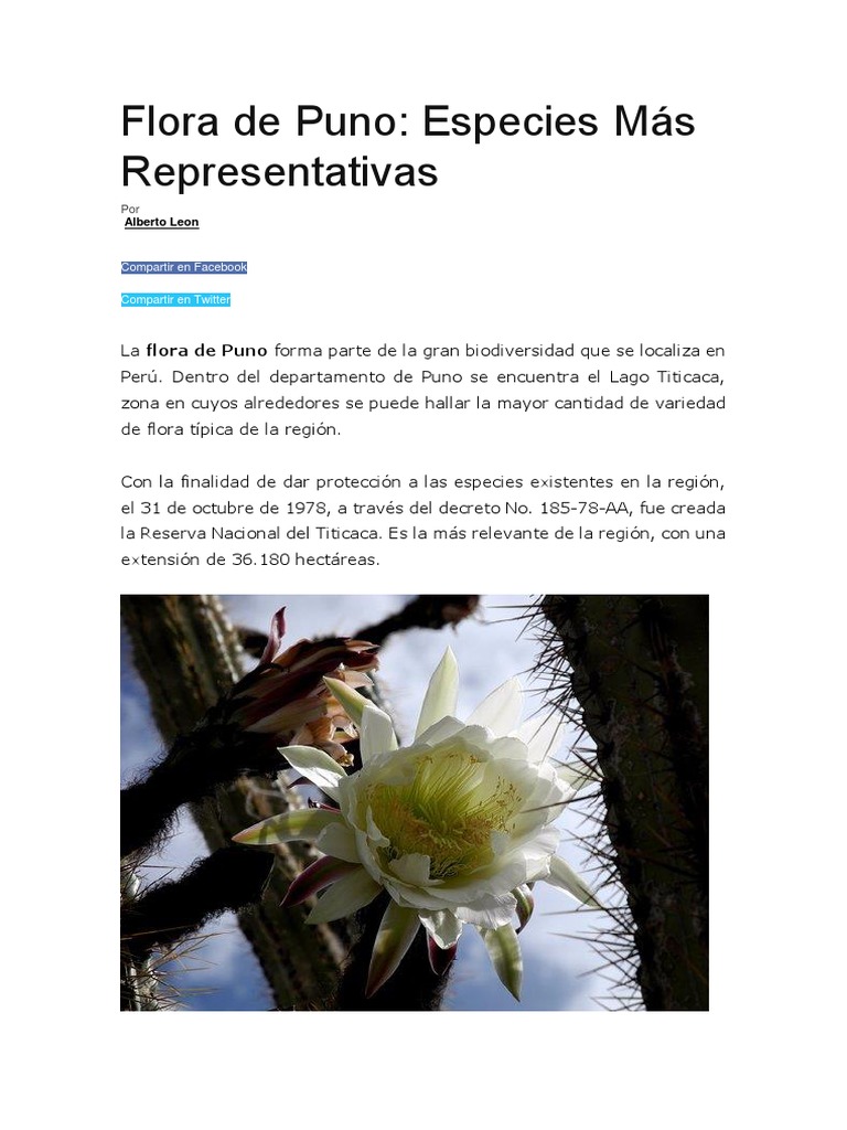 Flora Representativa de Puno | PDF | Plantas | Horticultura y jardinería
