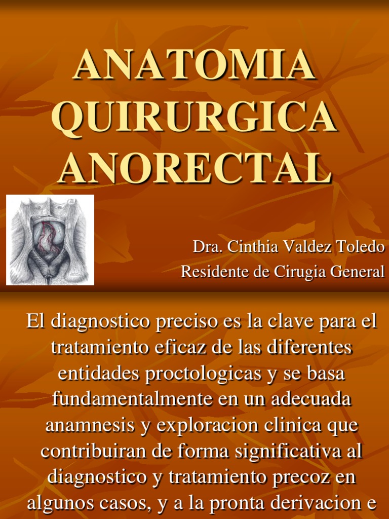 Anatomia Quirurgica Anorectal | PDF | Recto | Músculo