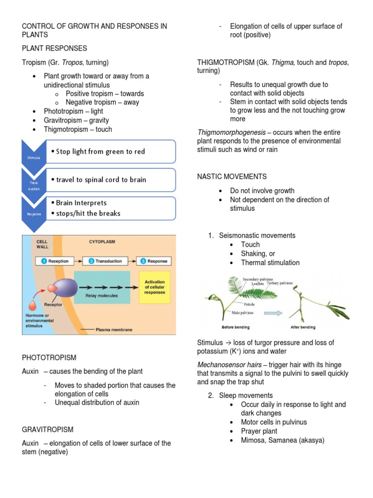 Control of Growth and Responses in Plants | PDF | Plant Hormone | Auxin
