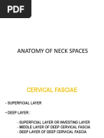 Mastoid X-Ray Positioning Techniques | PDF | Human Head And Neck ...