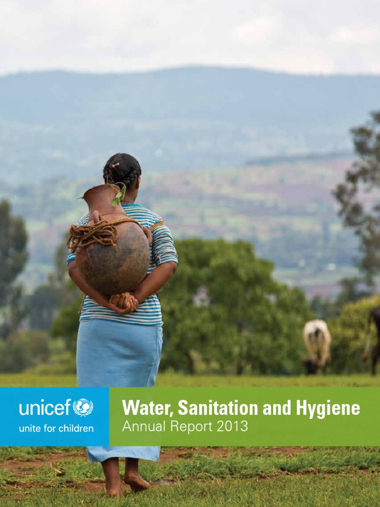 WASH Annual Report Final 7 2 Low Res | PDF | Wash | Sanitation