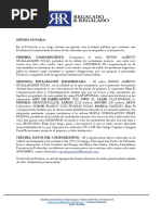 Modelo Minuta Poder Especial | PDF | Bancos | Propiedad