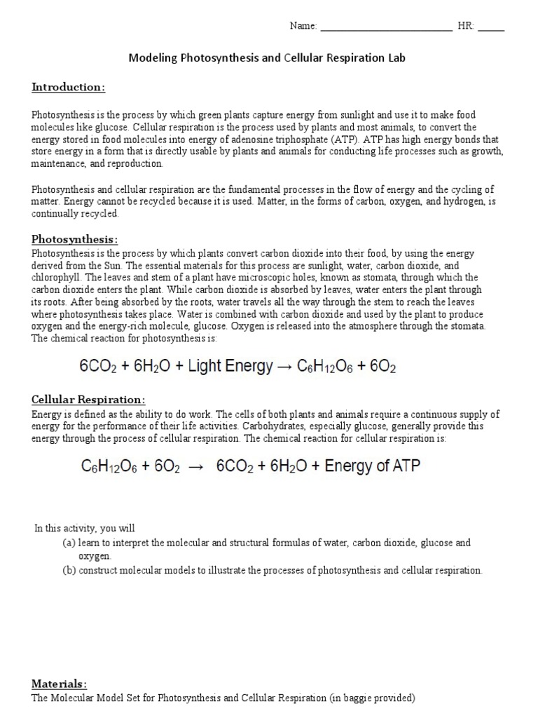 Chemistry of Photosynthesis | PDF | Photosynthesis | Cellular Respiration