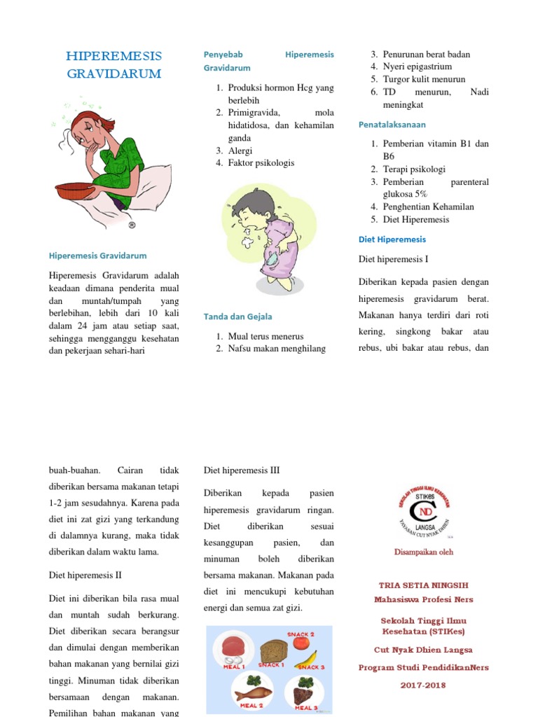 Leaflet Hiperemesis Gravidarum | PDF