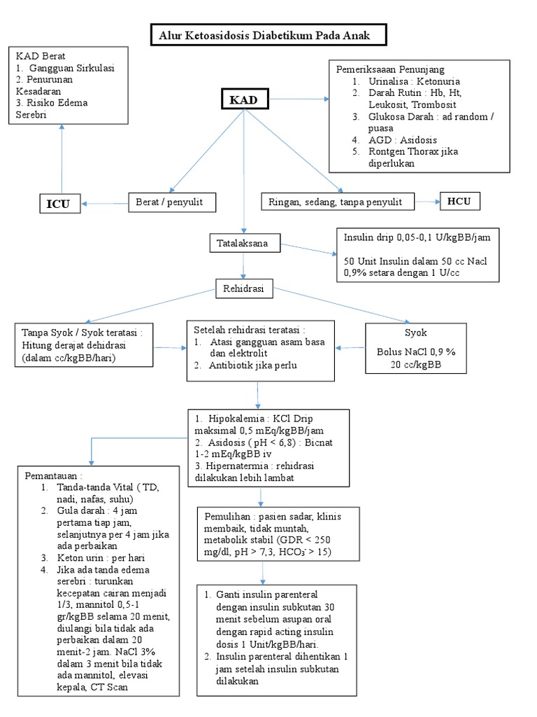 Ketoasidosis diabetikum pada anak | PDF