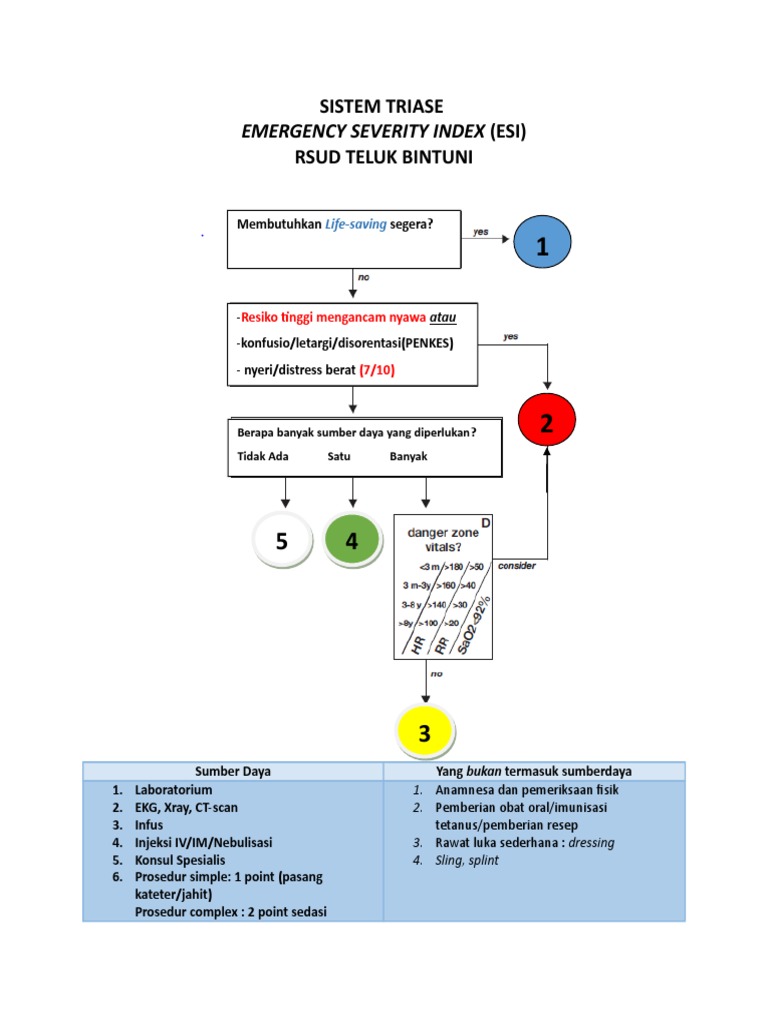 Emergency Severity Index Rev 1 Des 18 | PDF