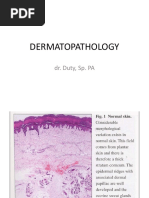Superficial and Deep Perivascular Dermatitis | PDF | Epidermis | Dermatitis