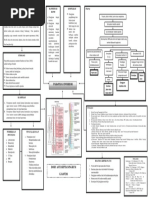 LP Tetraparese | PDF