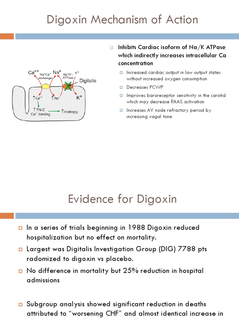 2.5 Digoxin Toxicity | PDF | Rtt | Medical Treatments