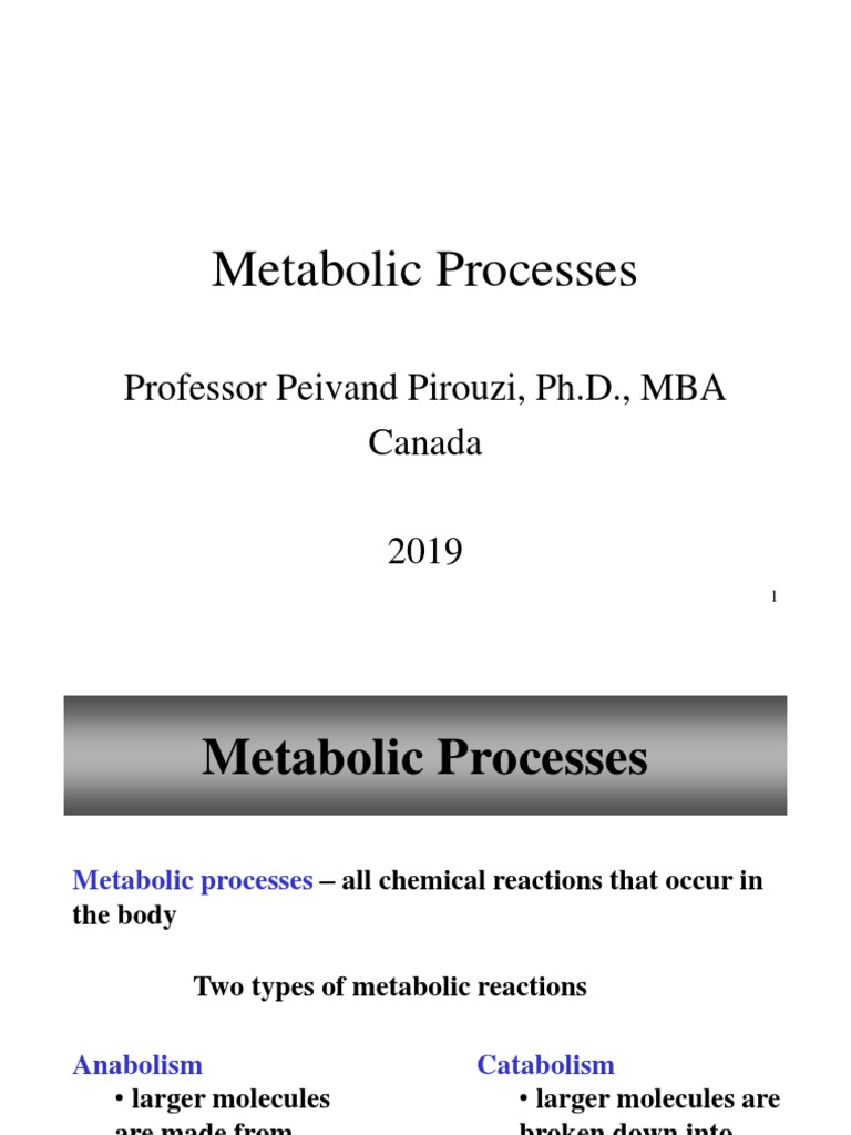 Metabolic Processes - Pr. Pirouzi | PDF | Adenosine Triphosphate ...