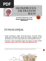 Pemeriksaan GFR: Panduan Lengkap | PDF