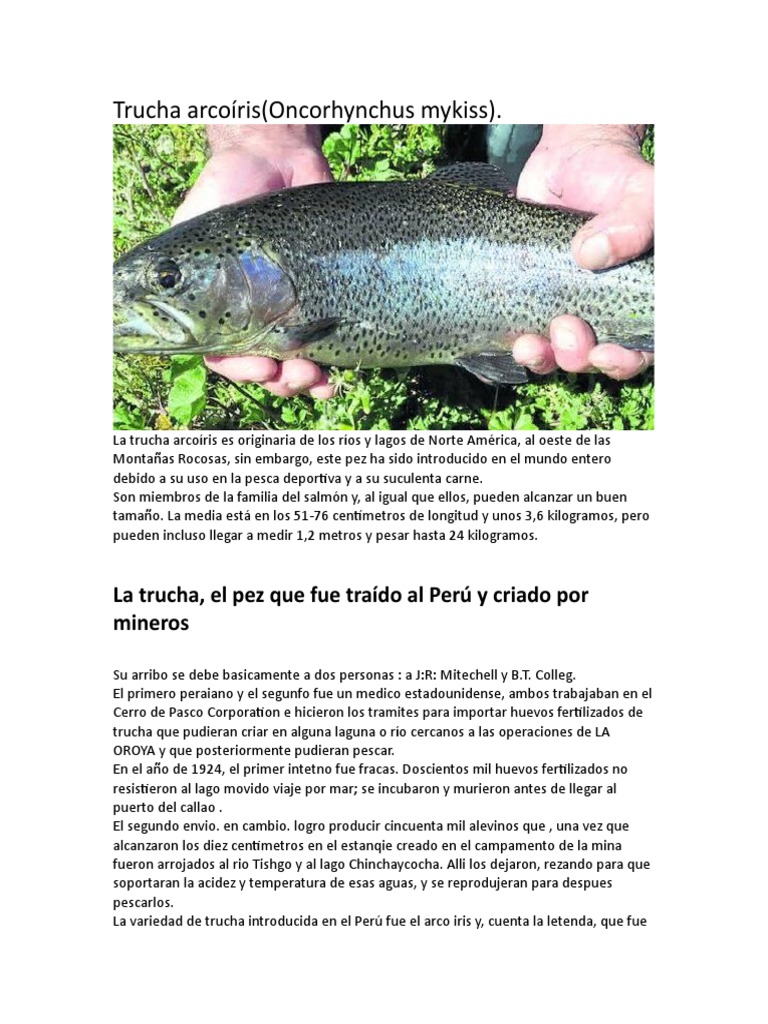 Trucha Arcoíris (Oncorhynchus Mykiss) .: La Trucha, El Pez Que Fue ...