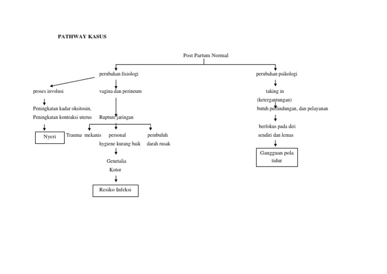 Pathway Kasus PNC | PDF