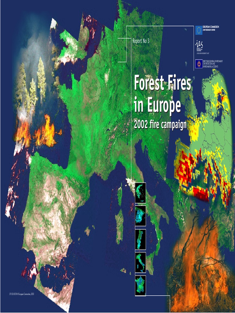 03 Forest Fires in Europe 2005 | PDF | Member State Of The European ...