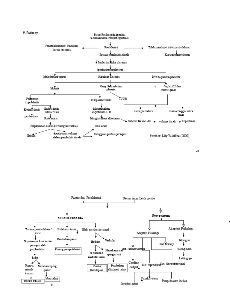 Pathway Penanganan Preeklamsi dan Sectio Caesarea | PDF