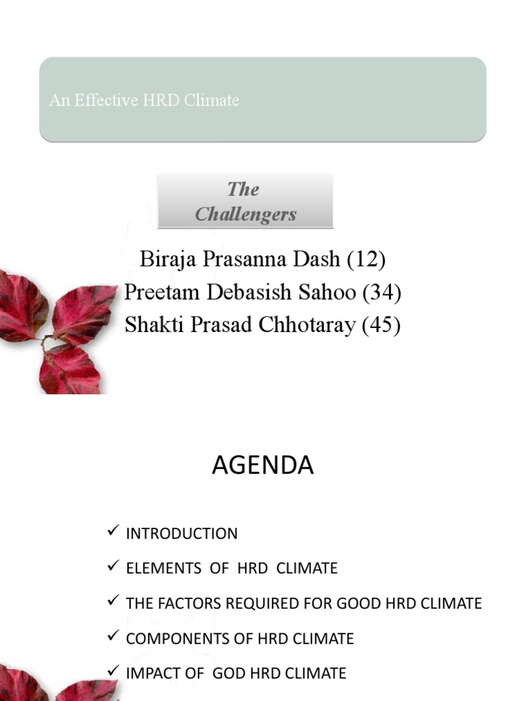 An Effective HRD Climate | PDF | Human Resources | Organizational Culture