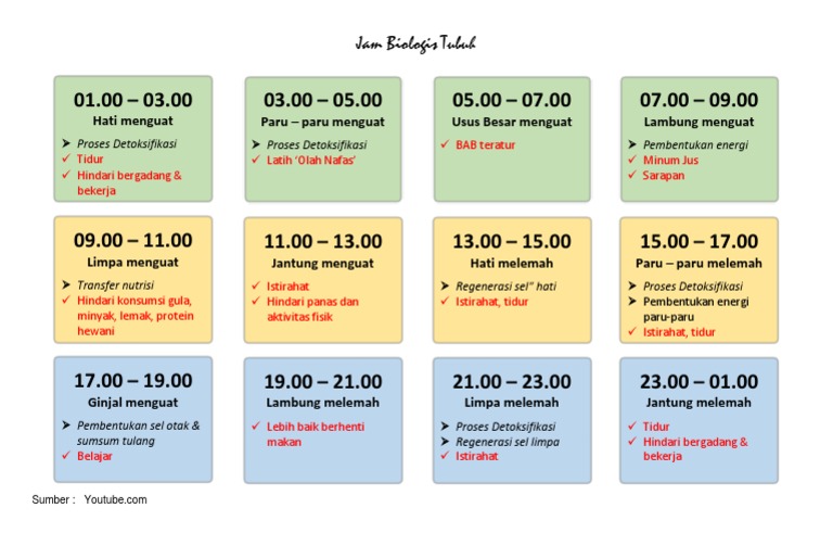 Jam Biologis Tubuh | PDF