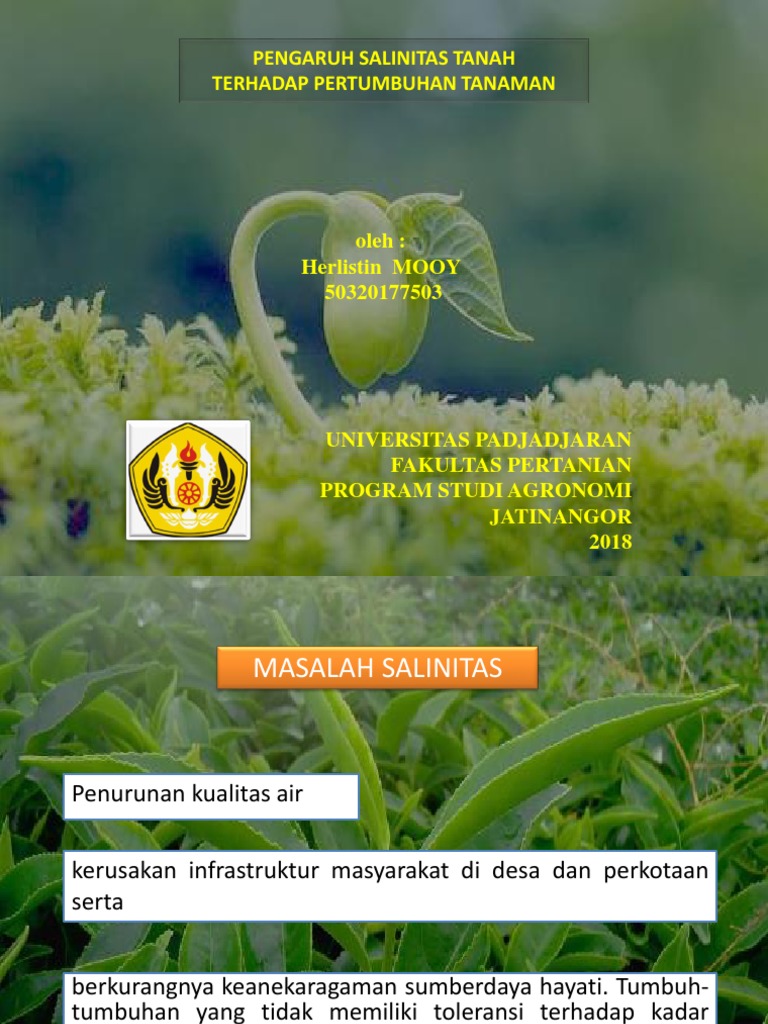 Pengaruh Salinitas Pada Tanaman | PDF