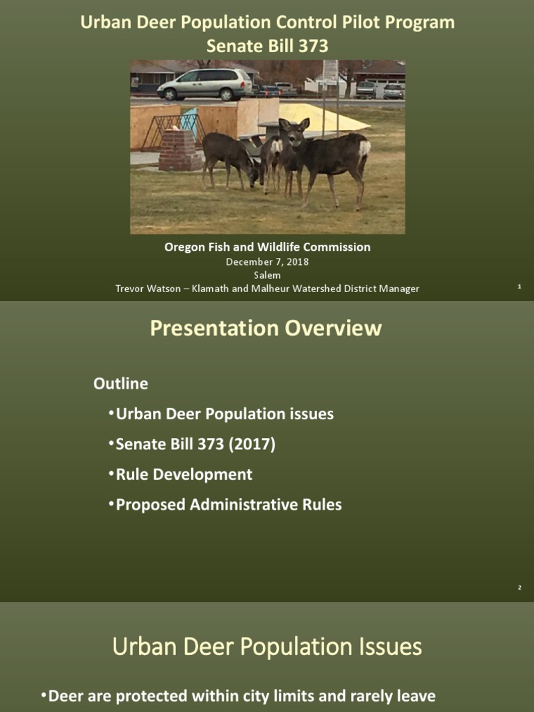 Urban Deer Population Control | PDF | Deer | Virtue