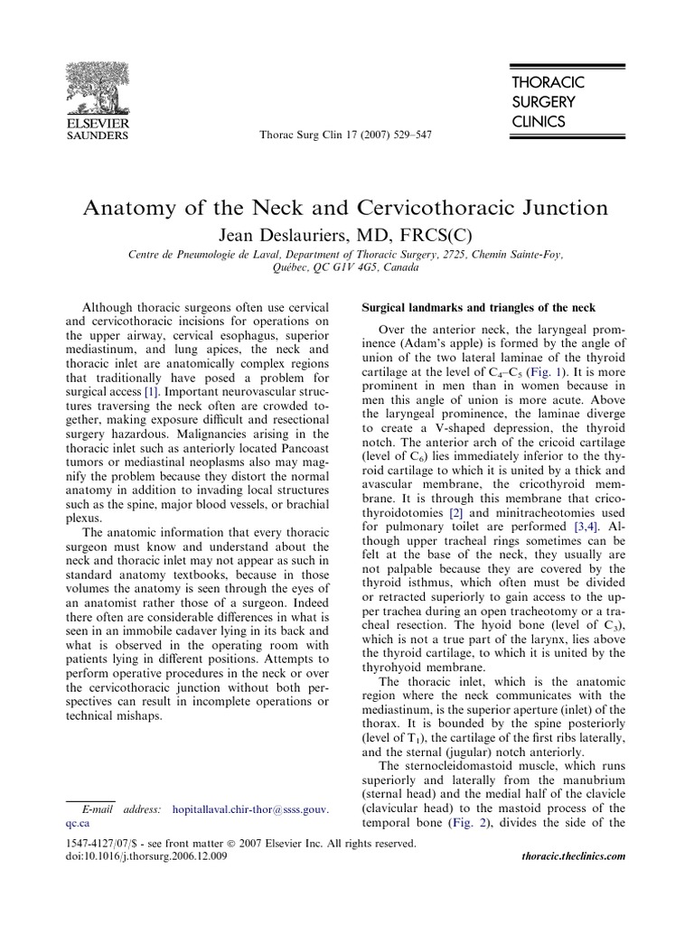 Anatomy Jurnal Leher | PDF | Common Carotid Artery | Neck